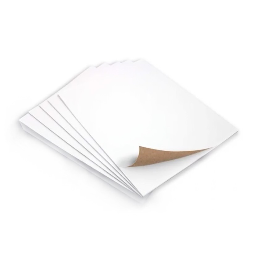 CARTULINA CAPLE TAMAÑO CARTA 100 HOJAS 18 PUNTOS | Encuentra mobiliario ...